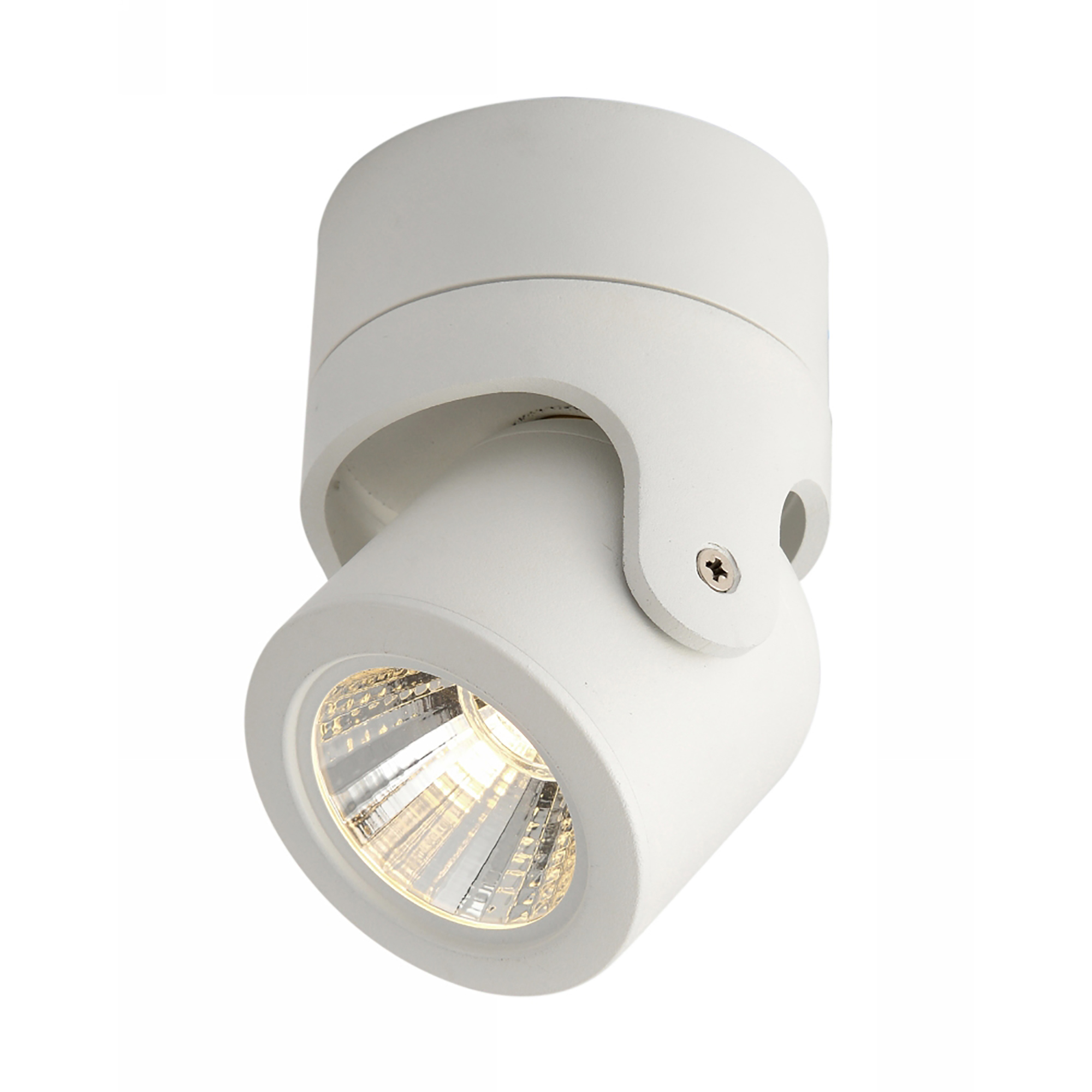 DL310006 Eda 10 Dlux Eda 10; 10W Surface Mounted Adj. Spotlight 5000K 900lm IP20 24° - Inspired ...